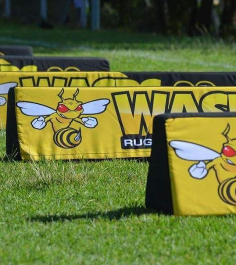 Wasps Rugby | Rugby Club Edenvale