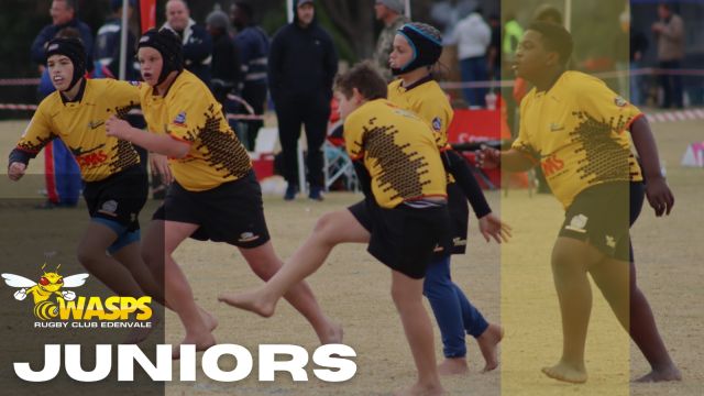 Gallery - Wasps Rugby Club Edenvale