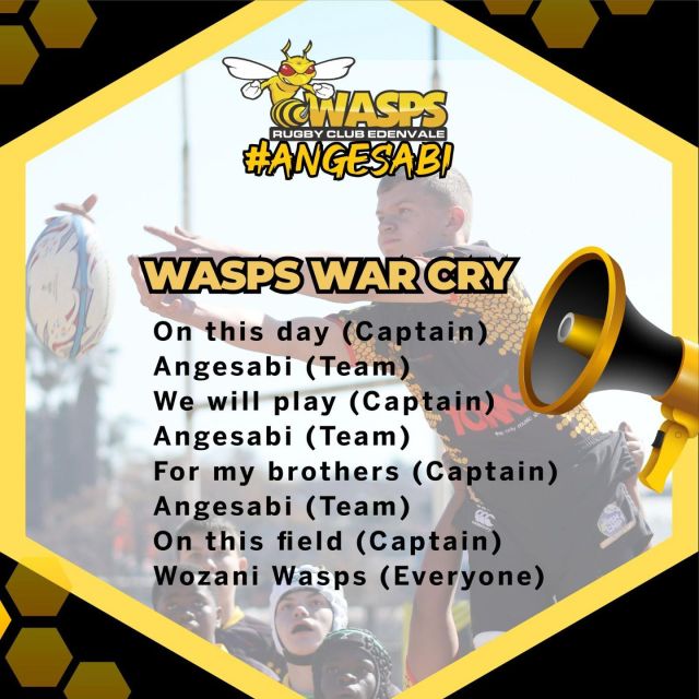 Gallery - Wasps Rugby Club Edenvale